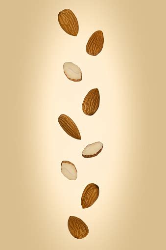 패키지 디자인 요소 및 광고로 클리핑 경로와 컬러 배경에 고립 떨어지는 아몬드 떨어짐에 대한 스톡 사진 및 기타 이미지 떨어짐 아몬드 갈색 Istock