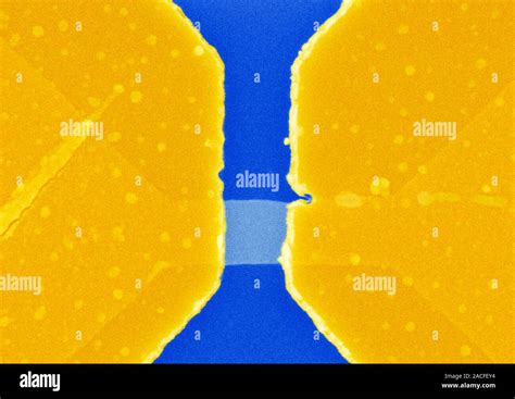 Graphene Transistor Coloured Scanning Electron Micrograph Sem Of A Transistor Composed Of A