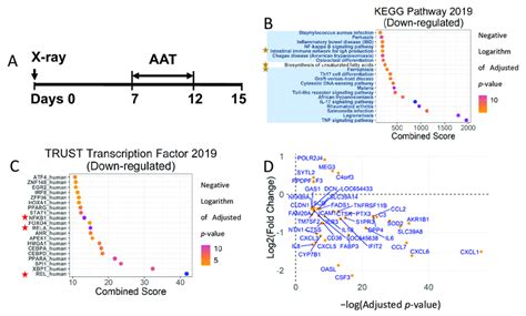 Human Aat Suppressed Nf κb Mediated Inflammatory Pathways In Senescent Download Scientific