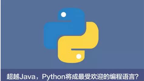 Python你知道多少教你玩转Python变量与常量 腾讯云开发者社区 腾讯云