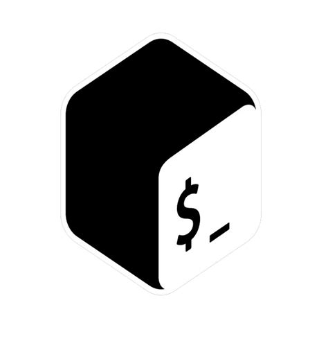 fundamentos de bash scripting curso gratuito 2024