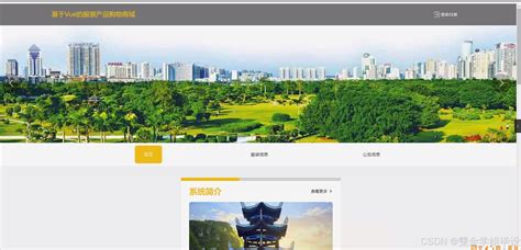python毕设 基于vue的服装产品购物商城8yi89x0s程序 论文 可用于毕业设计 csdn博客
