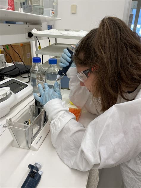 Acrf Intern Recounts Cutting Edge Lab Research Acrf