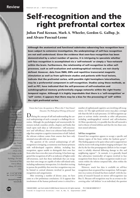 Pdf Self Recognition And The Right Prefrontal Cortex Pdf Self Recognition And The Right Prefrontal Cortex