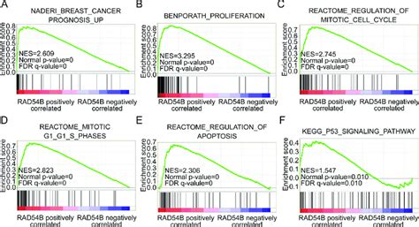Gene Set Enrichment Analysis Based On Microarray Dataset Gse1456 Gene Download Scientific