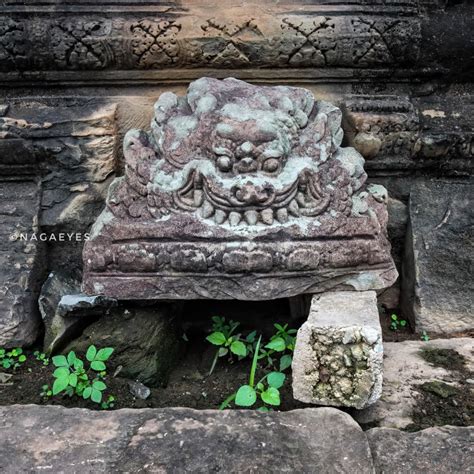 ក្បាលមករ ៣ ក្នុងចំណោម៨ ដែលមើលឃើញទម្រង់ច្បាស់ នៅផ្នែកខាងក្រៅលូបង្ហូរទឹក ជាន់បាកាណ ប្រាសាទអង្គរវត្ត