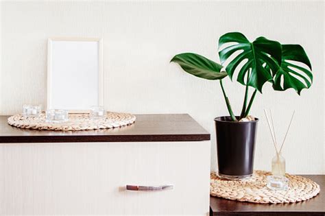 Pot Tanaman Hias Monstera Dan Diffuser Aroma Ramah Lingkungan Dekorasi