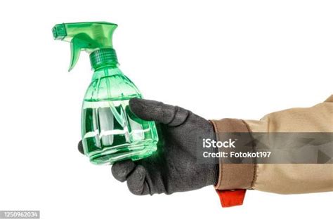 흰색 배경에 고립 된 녹색 투명 플라스틱 스프레이 병검은 보호 장갑을 입은 남성 손 가정 생활에 대한 스톡 사진 및 기타 이미지 가정 생활 갈색 검은색 Istock