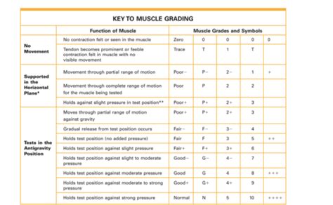 Pt Assessment Musculoskeletal Gross MMT Flashcards Quizlet