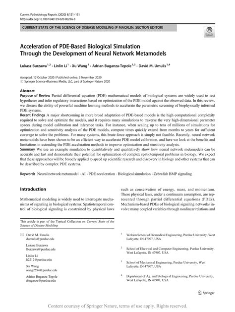 Acceleration Of Pde Based Biological Simulation Through The Development Of Neural Network