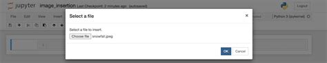 Insert Image In A Jupyter Notebook GeeksforGeeks