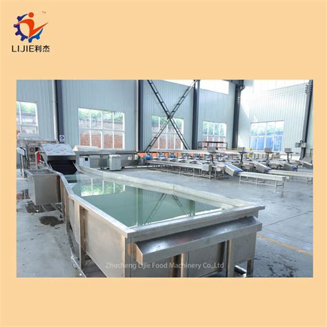 Fruit Sorting Machine Automatic Apple Sorting Line Fruit And Vegetable Cleaning And Sorting