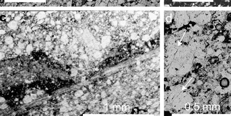 Photomicrographs Of Fault Core Microstructures A Plane Polarized Download Scientific Diagram