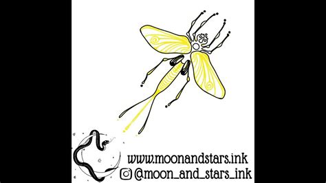 Bug Design Youtube Bug Design Youtube