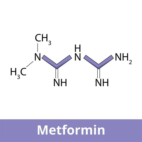 The Pros And Cons Of Metformin Anti Aging Therapy Glycanage