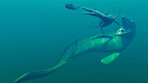 Mosasaurus And Other Mosasaurs Of The Dinosaur Age Live Science