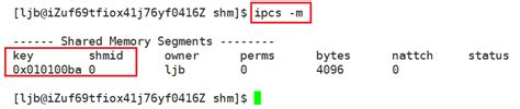 【linux】system v共享内存与信号量 linux 共享内存 信号量 csdn博客