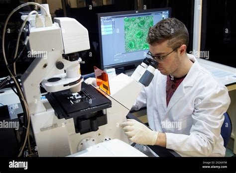 Analyzing Fluorescent Labelled Samples Axio Observer Z1 Inverted Phase And Fluorescence