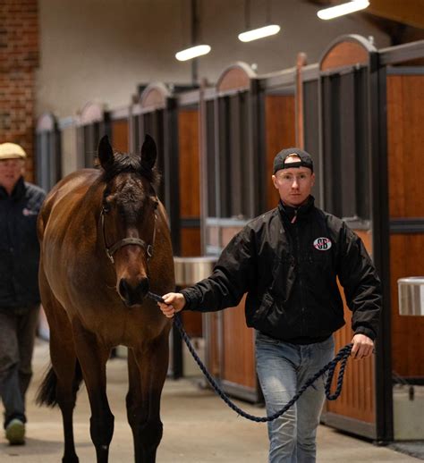 Head Lad George Baker Racing
