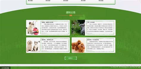 Springboot毕设 宠物寄养系统 程序论文 Csdn博客