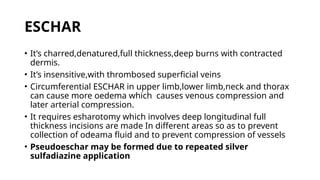 Burns Classification Management And Complications Pptx