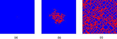 Snapshots Of The Distributions Of The Cooperators Blue And The