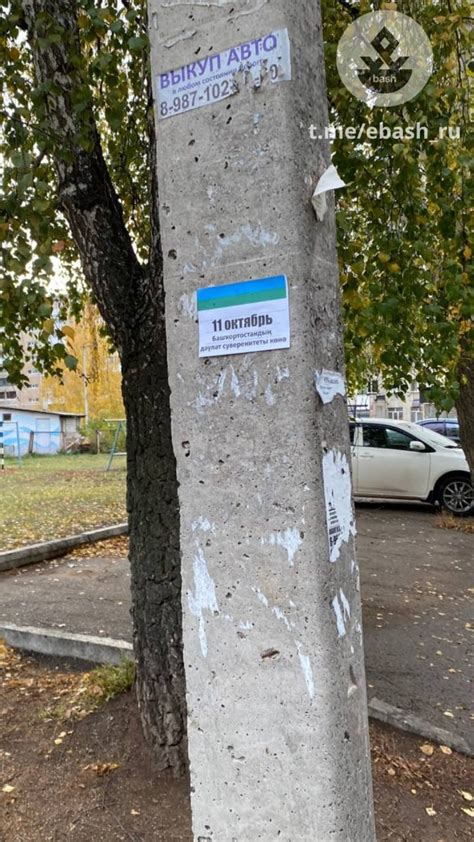 Bashkir Nationalists Distribute Leaflets Happy Sovereignty Day Of Bashkortostan” With The Flag