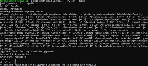 enable automatic and unattended upgrades on debian ubuntu