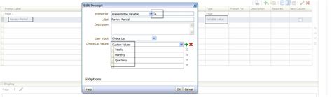 Obiee Dynamic Columns With Filters