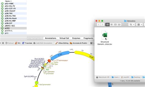 Geneious Prime 20201