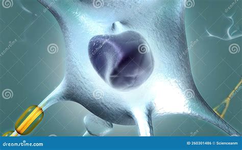 A Neuron Has Three Main Parts Dendrites An Axon And A Cell Body Or Soma Stock Illustration