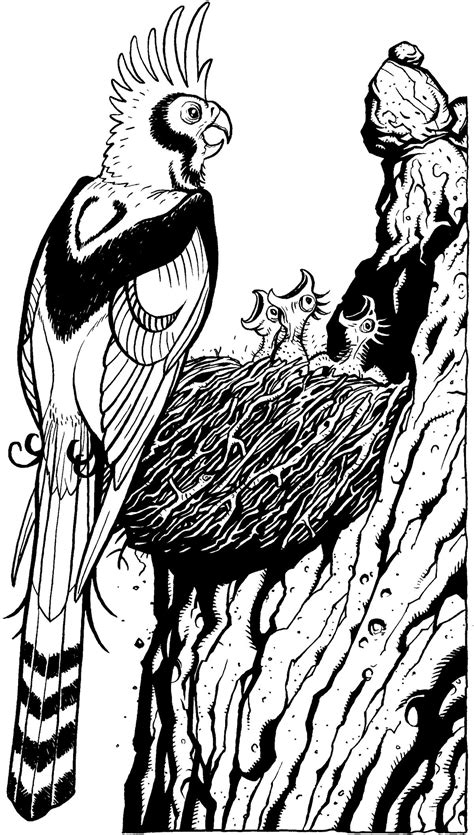 Simurgh White Wolf Wiki Fandom