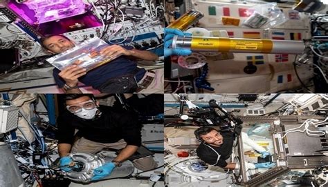 شهر في الفضاء أبرز التجارب العلمية التي أجراها سلطان النيادي موقع 24