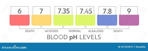 Human Blood Ph Range Stock Vector Illustration Of Measure 227923941