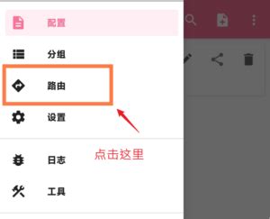 NekoBox for Android使用教程 V ray XTLS黑科技