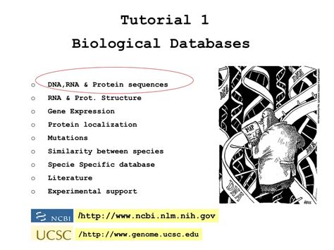Ppt Introduction To Bioinformatics Course Online Bioinformatics