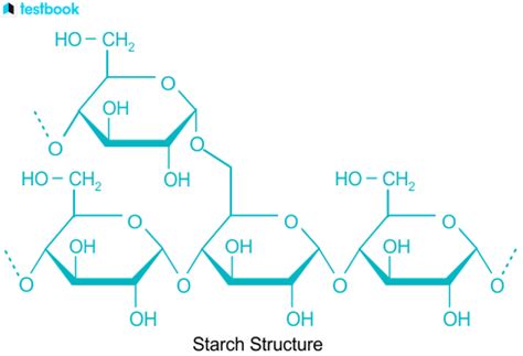Difference Between Starch And Cellulose Comparison And Meaning