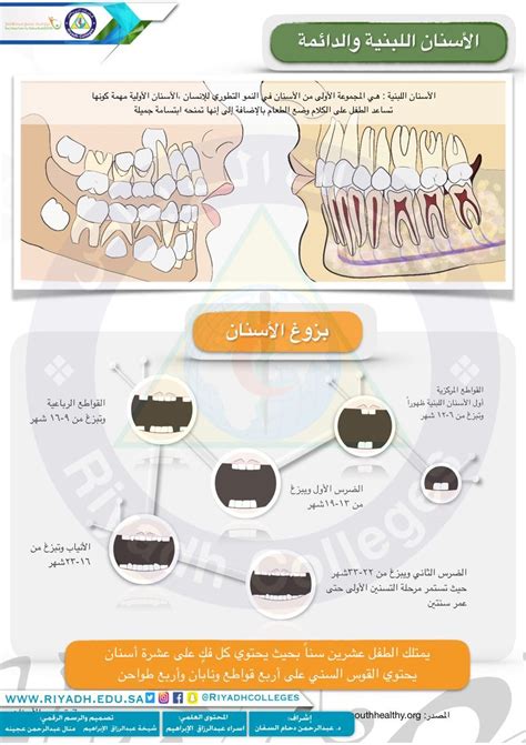 جدول تغذية الطفل عمر سنة موسوعة الحياه