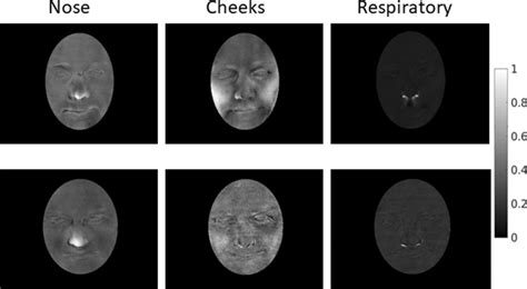 Distinct Spatial Components Representative Components From One Subject Download Scientific