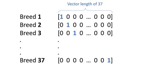 Practical Guide To Transfer Learning In Tensorflow For Multiclass Image