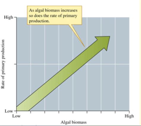 Primary Productivity Graph Primary Productivity Graph