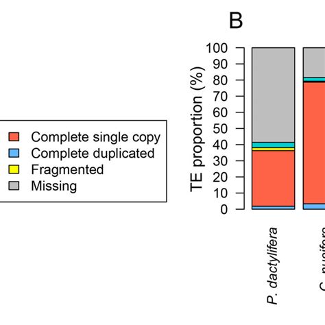 Genome Assembly Evaluation And Te Proportions The Four Palmae Download Scientific Diagram