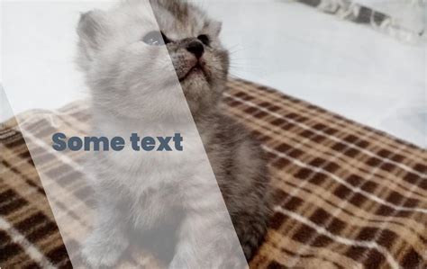 html Как сделать фон текста в виде фигуры stack overflow на русском