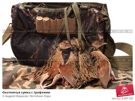 Охотничья сумка с трофеями. Стоковое фото № 3297122, фотограф Андрей ...