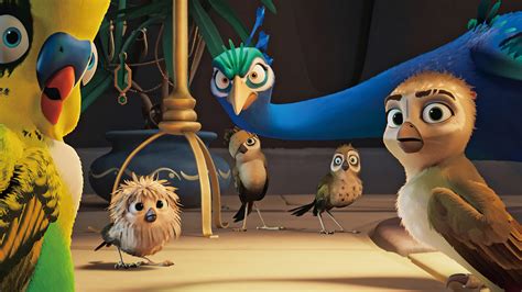 리뷰 ‘꼬마참새 리차드 신비한 보석 탐험대 작은 참새 숨 참고 낙하