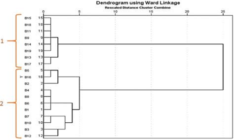 Figure Dendrogram Resulting From The Ward S Method Of Hierarchical