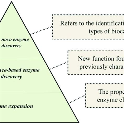 Hierarchical Structure Of Metagenomics Enzyme Discovery Download Scientific Diagram