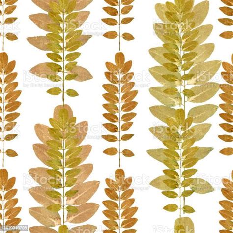 수채화 가을 자연 흰색 배경에 원활한 패턴 나뭇잎과 가지 10월에 대한 스톡 벡터 아트 및 기타 이미지 10월 11월 9월 Istock