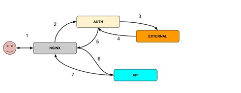 Nginx Nodejs Perform Identification And Authentication