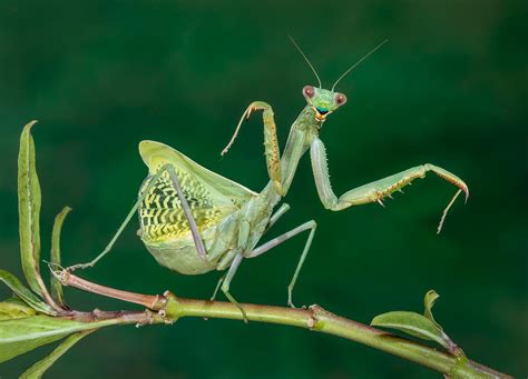 Unreleased Sex Tape Of Selena Gomez And Unknown Males Rrandozilla